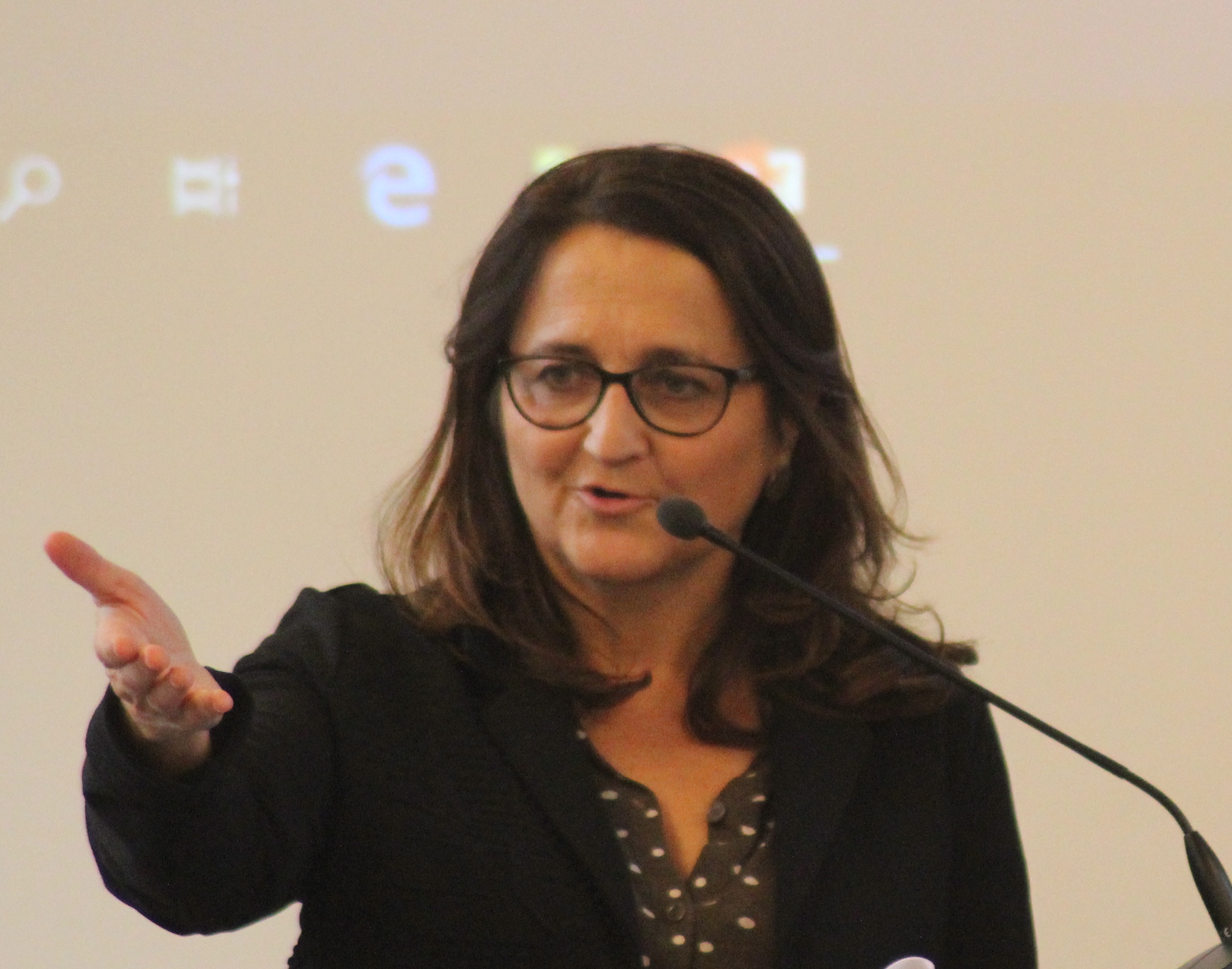 Claire Perrin, Auteur à L-VIS